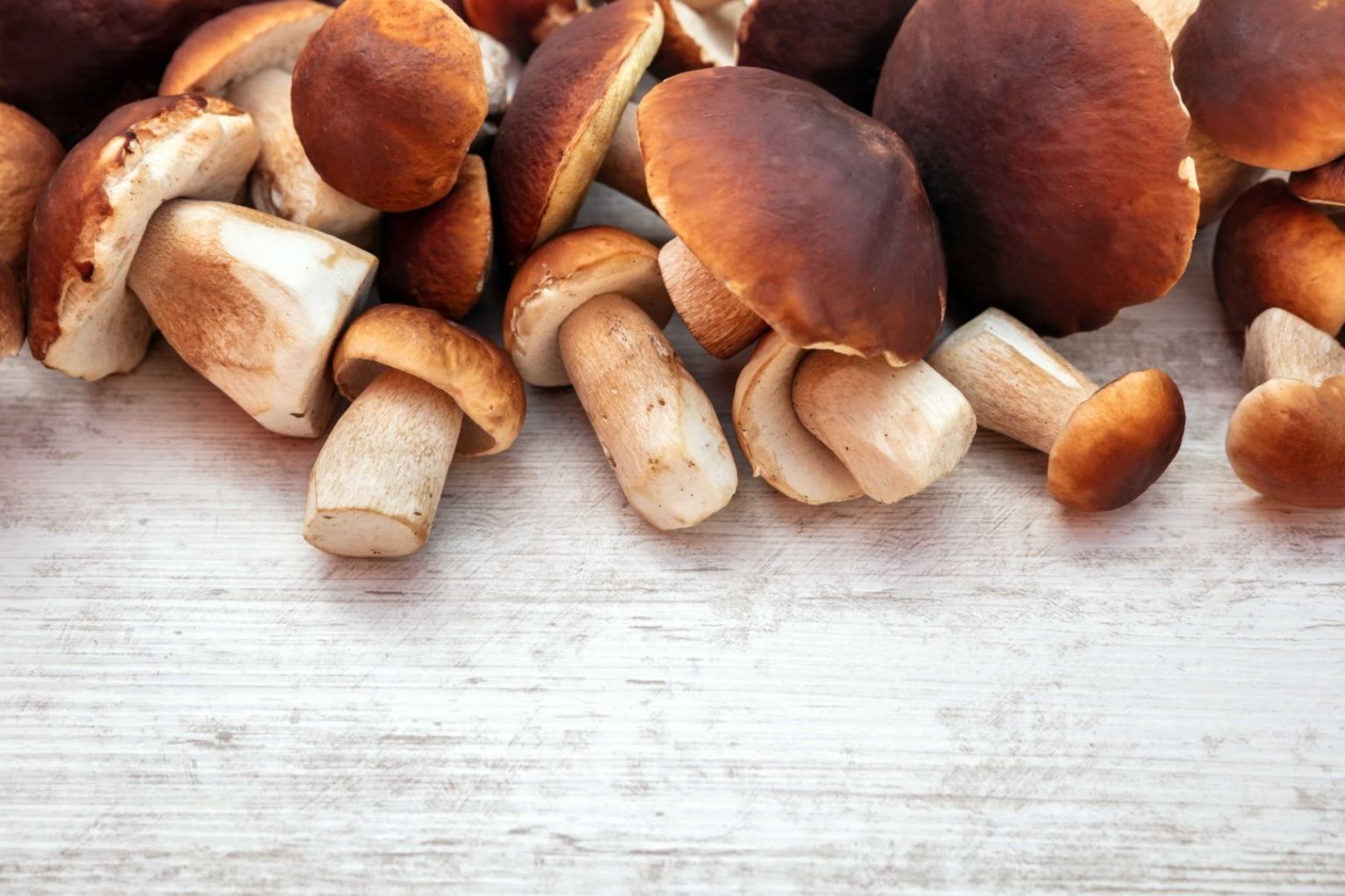 Receta de Risotto de ceps | Fácil y rápida de hacer